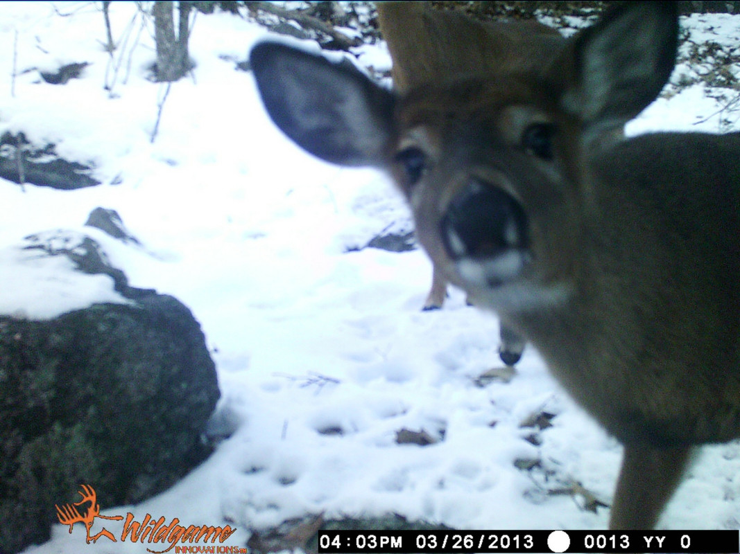 Resized WGI 0013 546569031346237 — Postimages