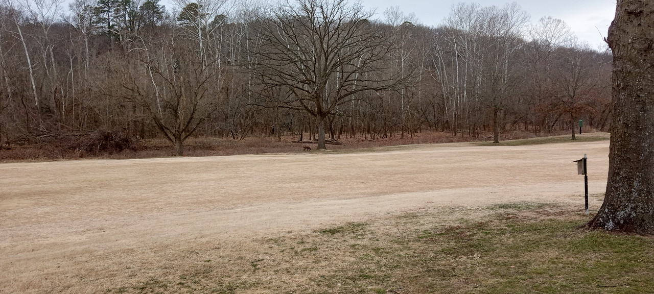 Who else took their buddy on a nice long walk this morning? > General ...