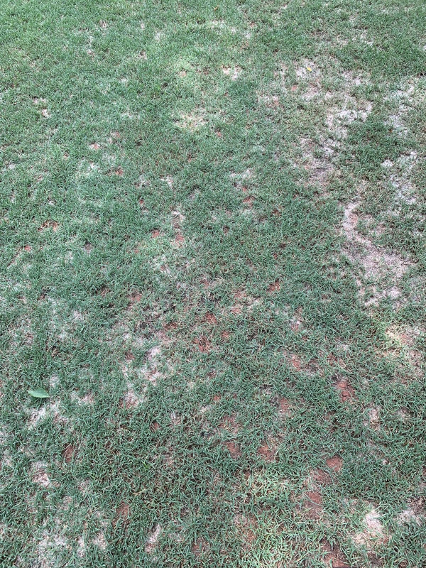 Aeration & Sand Recovery Time | Lawn Care Forum
