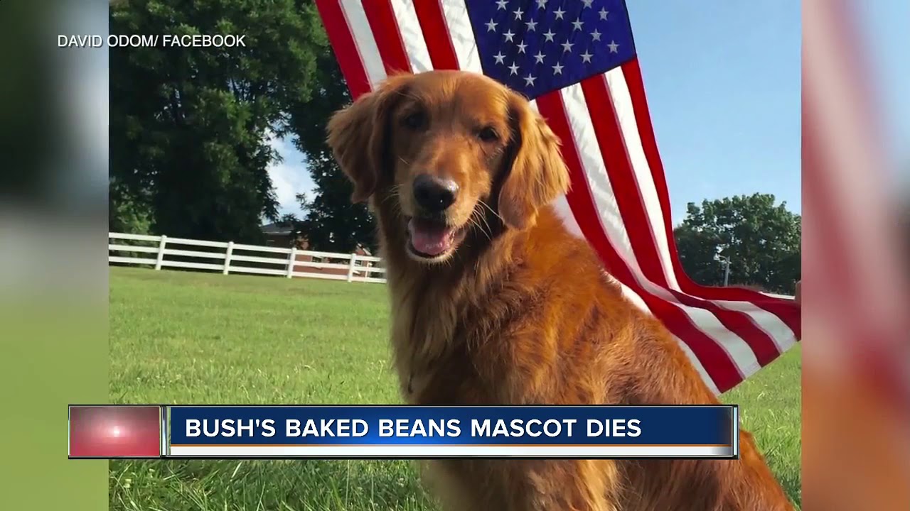 Andy Griffith? - 24hourcampfire