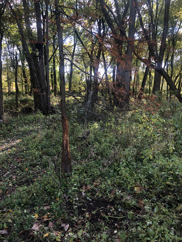 IMG 9077 — Postimages