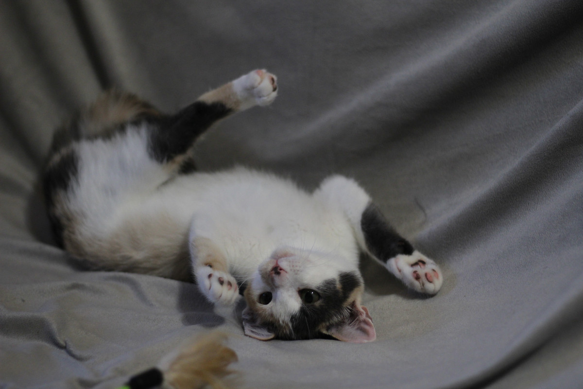 IMG 7950 — Postimages