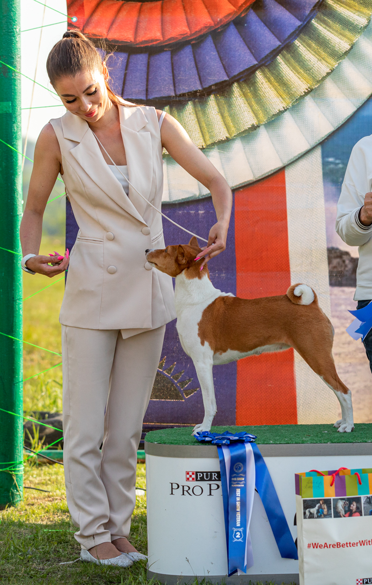 ВР 1640 — Postimages