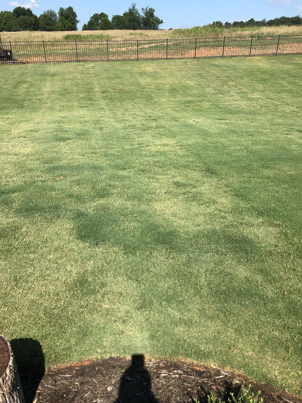 Back Yard — Postimages