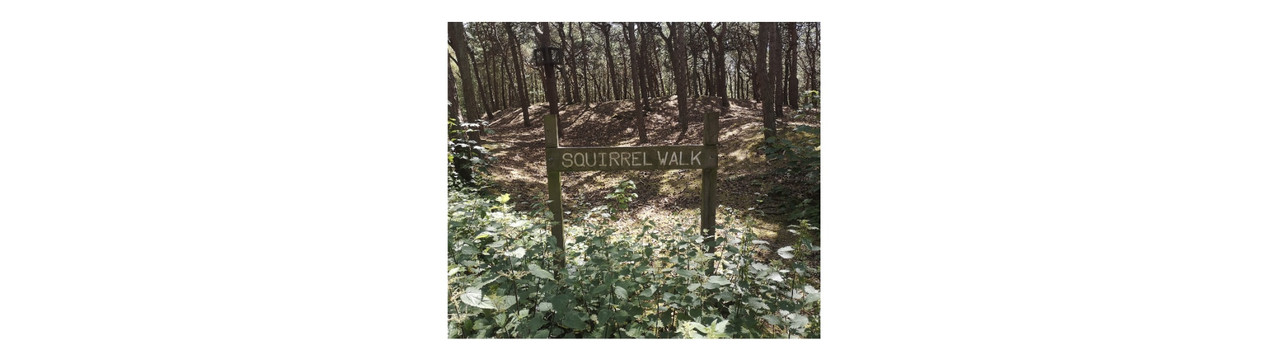 The Roommate - Chapter 10 - Morfox - Alex Rider - Anthony Horowitz ...