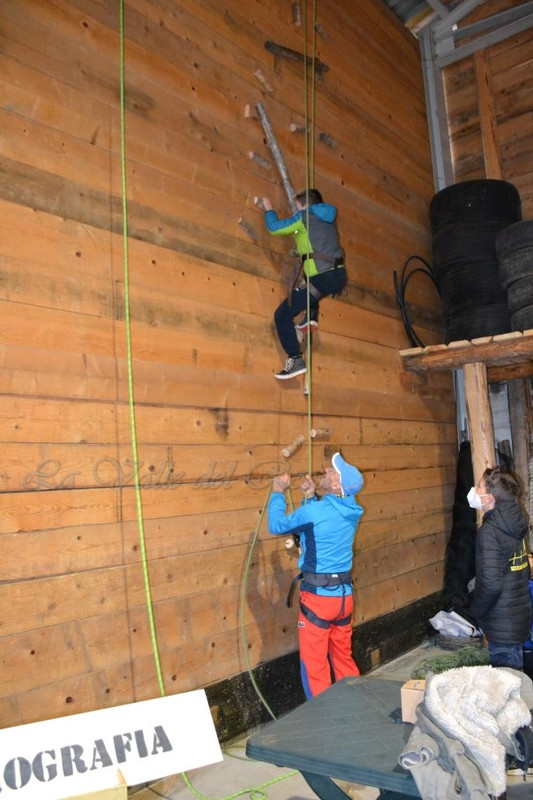 DSC 0237 — Postimages