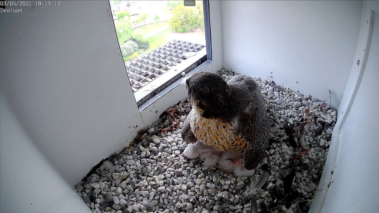 2021 05 03 19 15 24 Window — Postimages