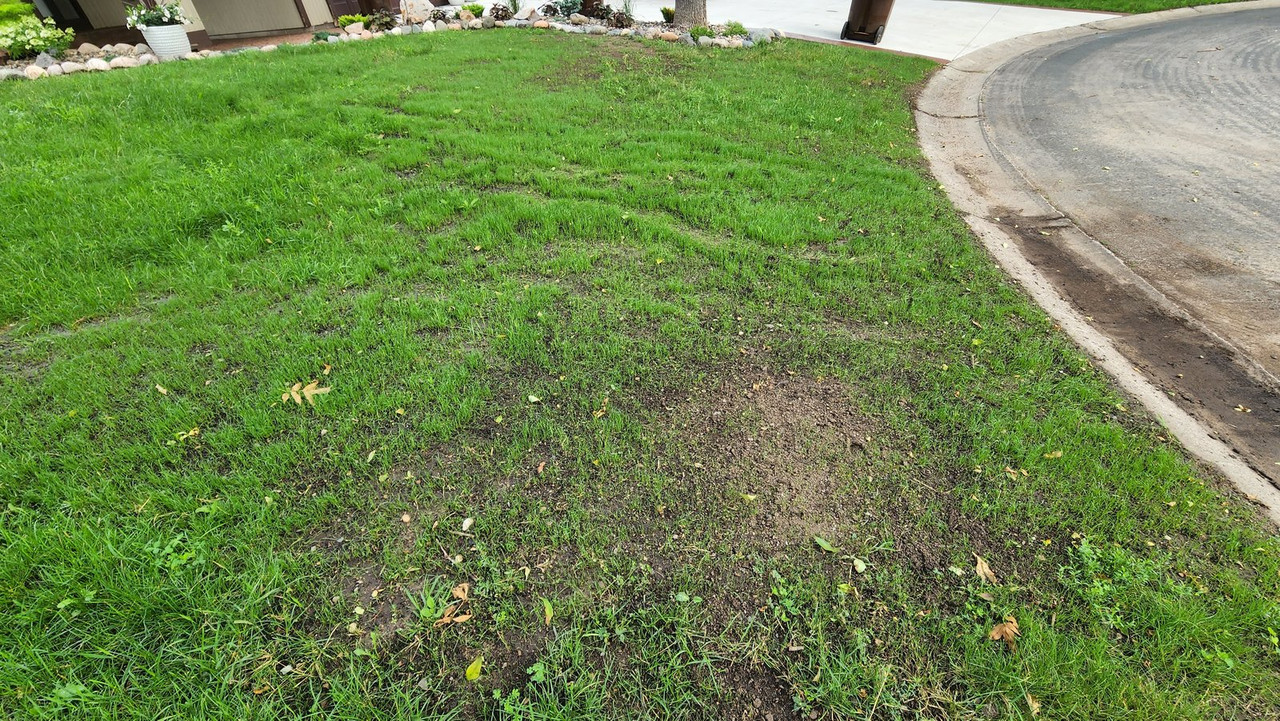 20220710 091057 — Postimages