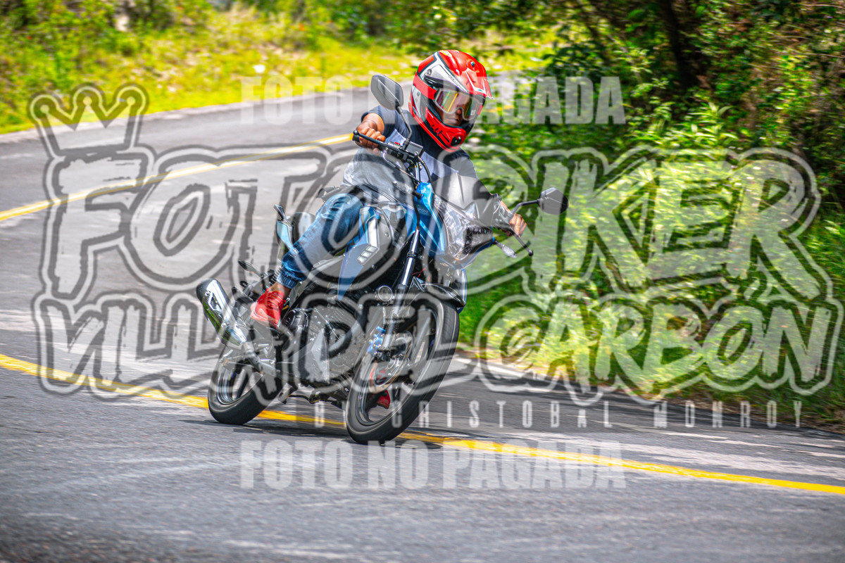 C1P2 116 — Postimages