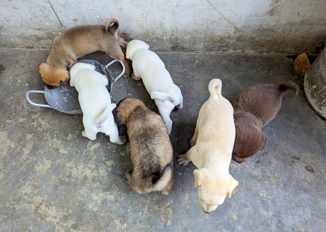 Mix 20240404 163159 — Postimages