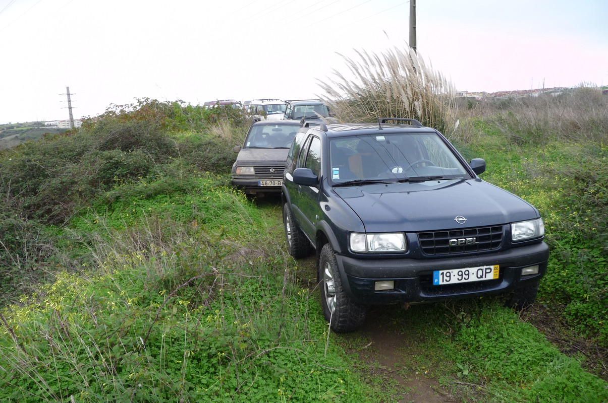 2014 P TT soft — Postimages