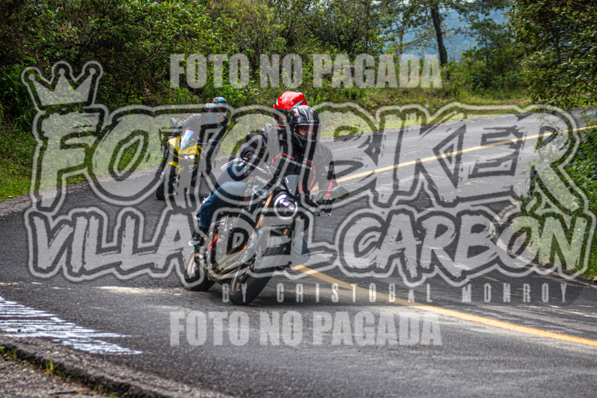 C1P1 135 — Postimages