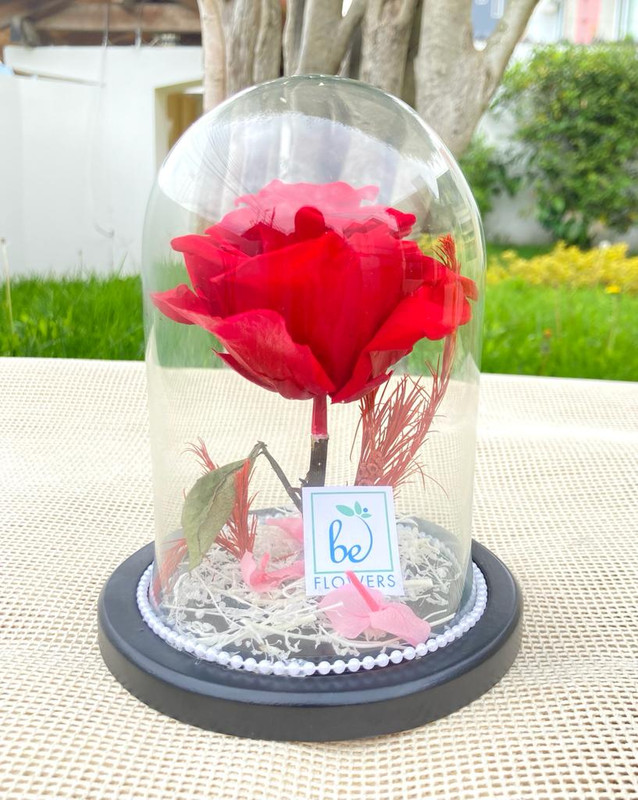 ETERNAL RED ROSE — Postimages