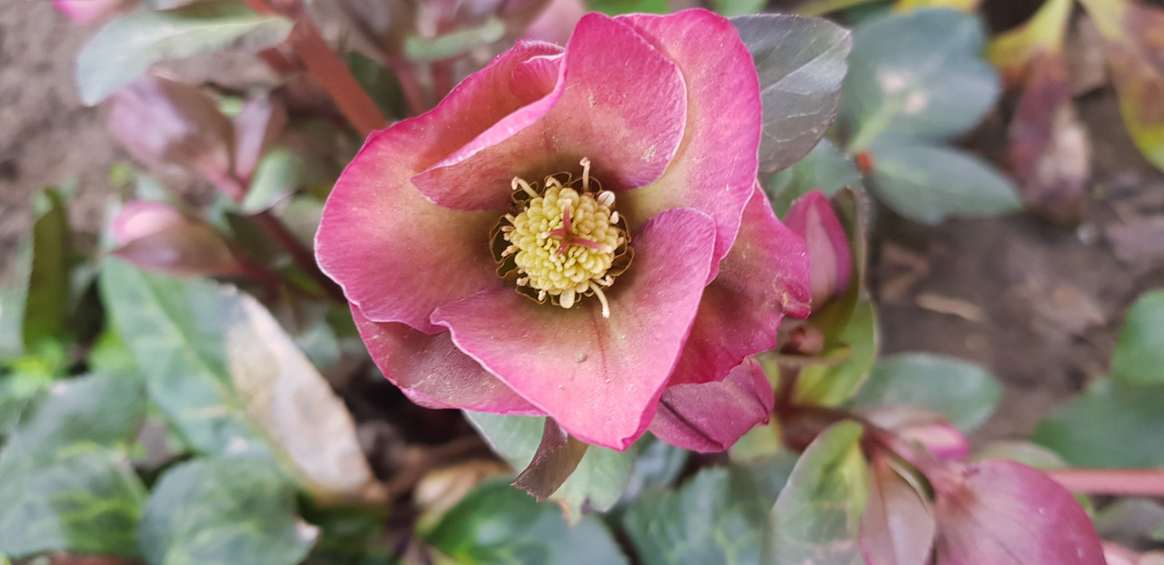 20190316 123444 — Postimages