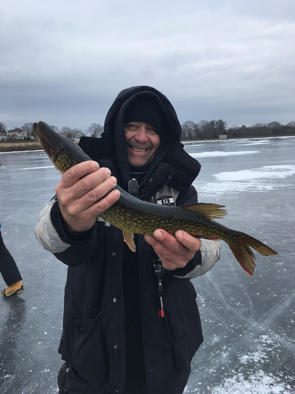 9 AEC7538 AB59 462 B B3 C5 FE4 FA3304 FD0 — Postimages