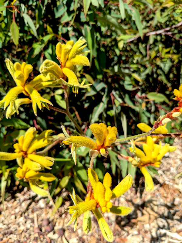 PXL 20240311 021908167 — Postimages