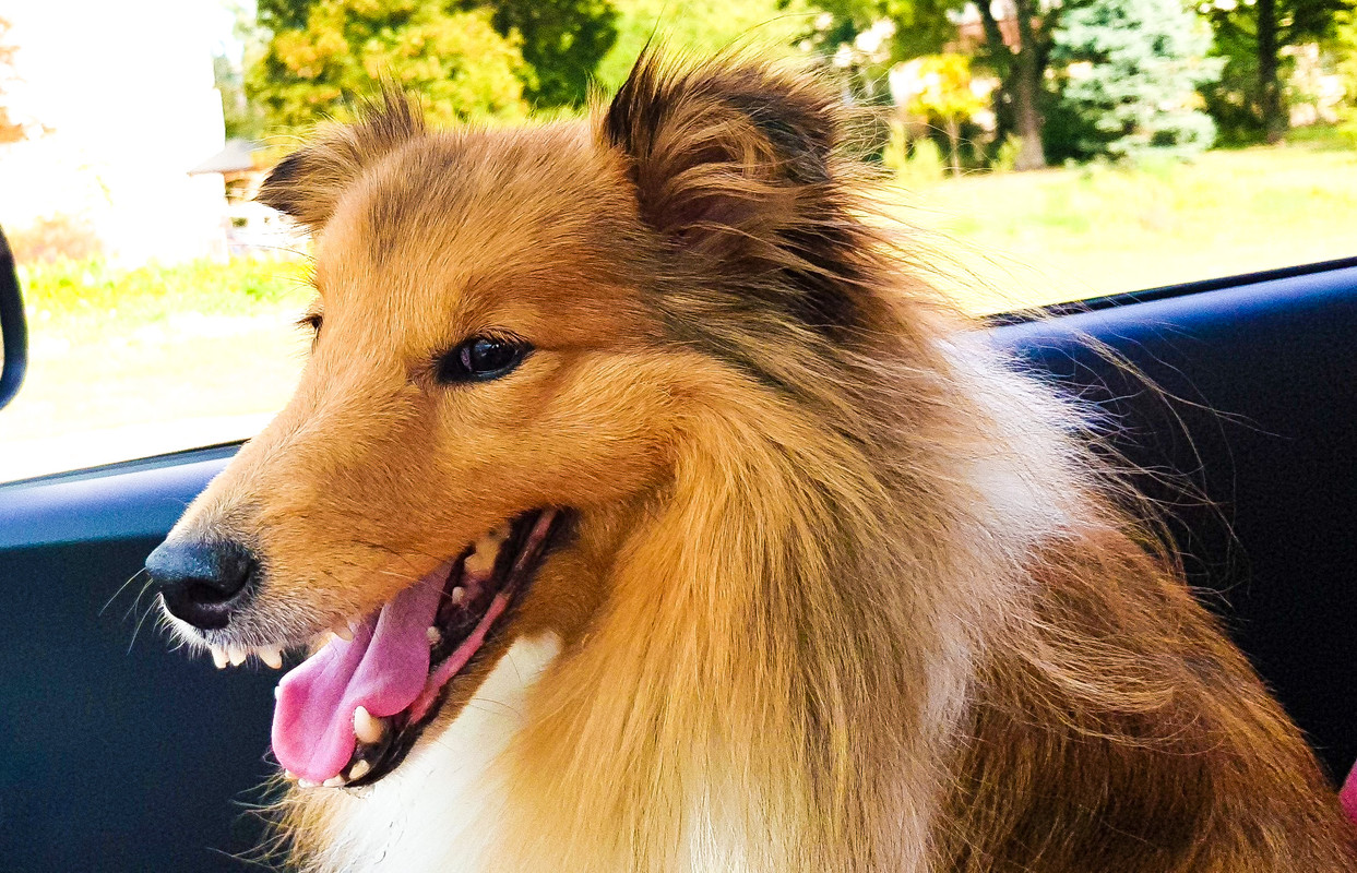 20210824 154248 edited — Postimages