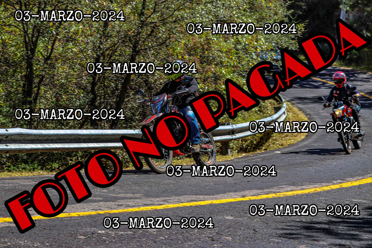 CA 1216 — Postimages