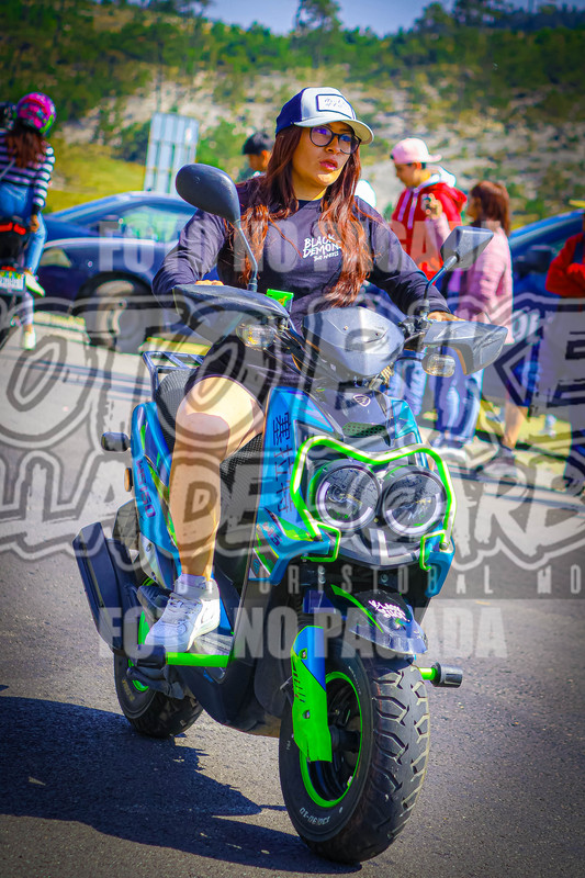 PL2 2005 — Postimages