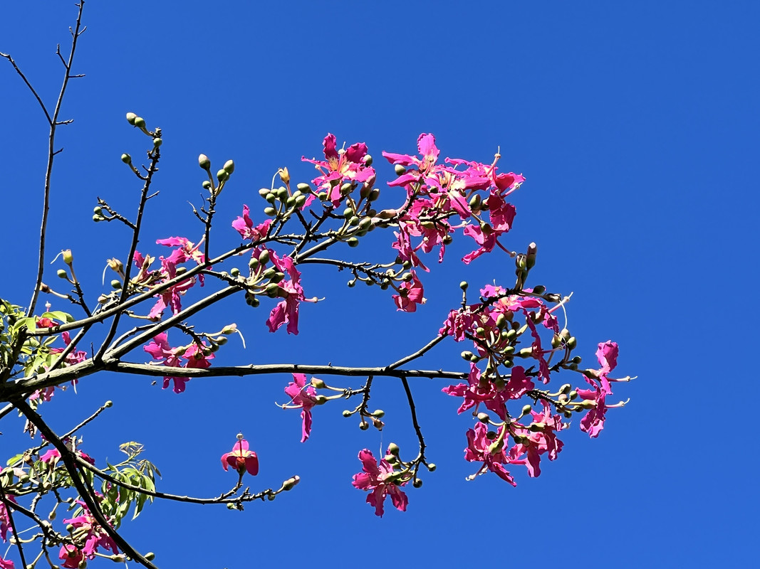 IMG 0431 — Postimages