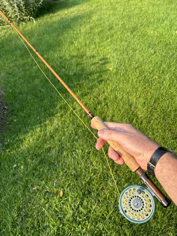 IMG 9495 — Postimages