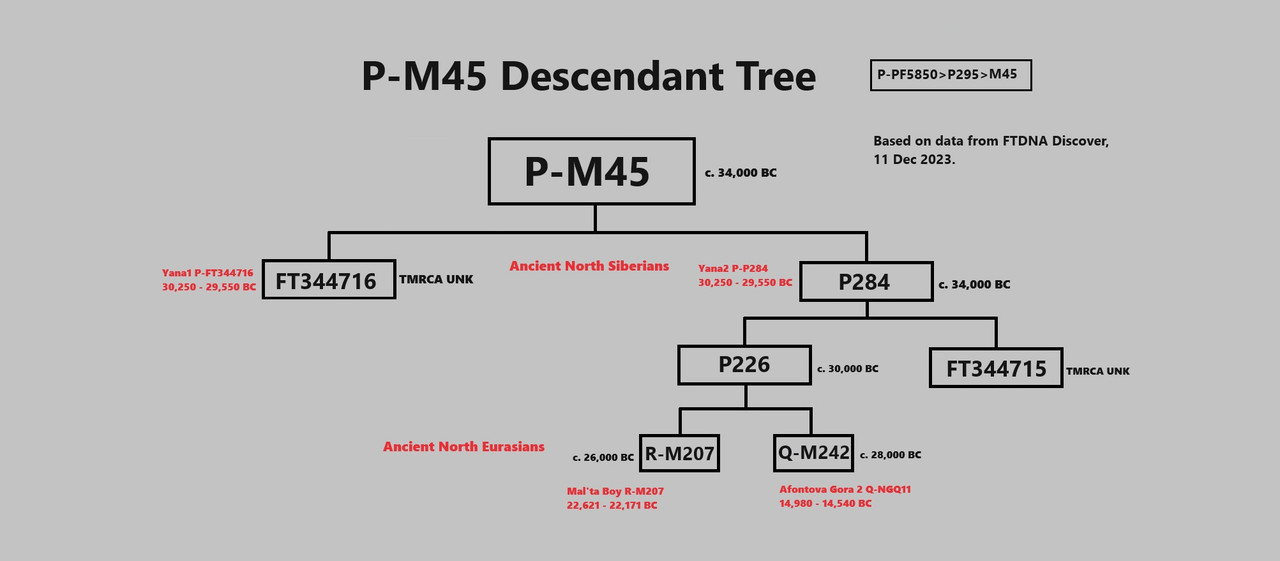 P M45 Descendant Tree w ancient samples in red — Postimages