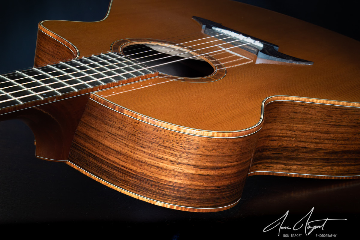 The Beauty of Acoustic Guitars - Share your photos or other visual ...