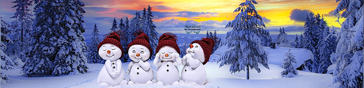 Trabajos con psp - Reto 6 - David Bustamante del 24 al 30/09/2017 ...