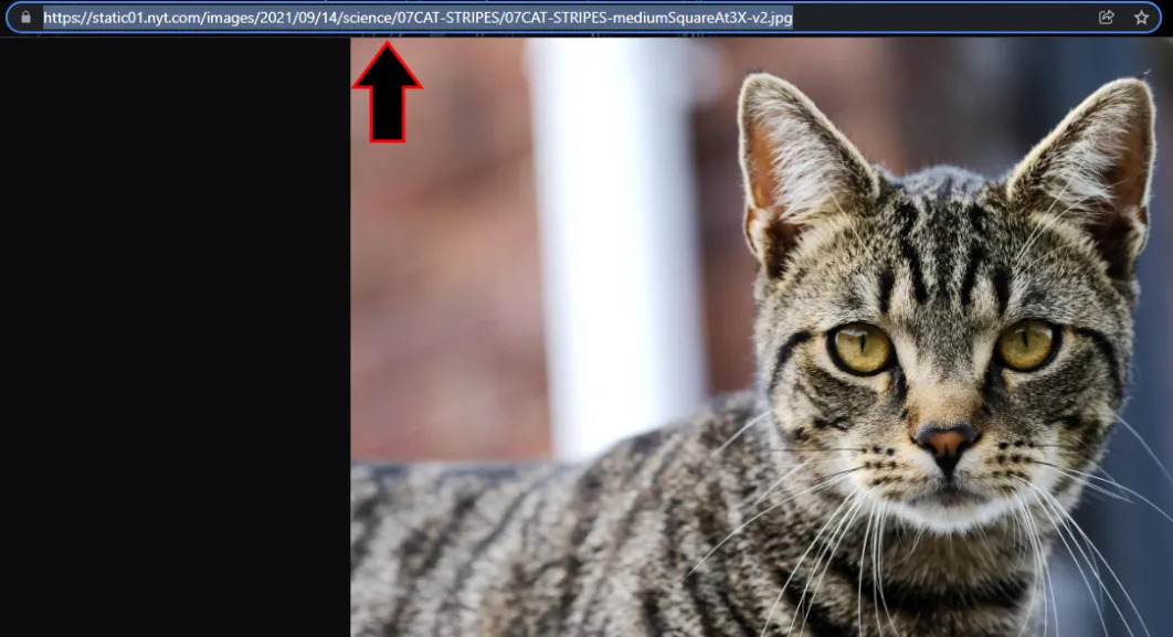 Tutorial: How to add images into forums posts and fiction chapters ...