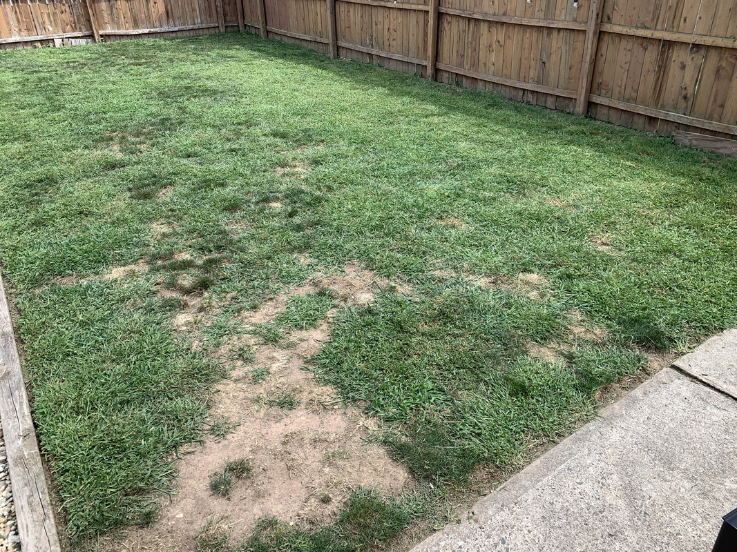 Lawn Overhaul Help/Journal | Lawn Care Forum