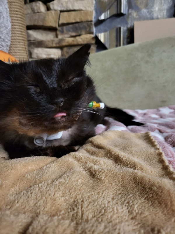 IMG 20231110 120244 584 — Postimages