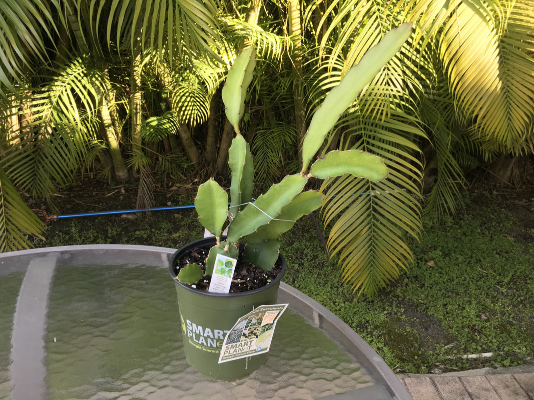 IMG 1098 — Postimages