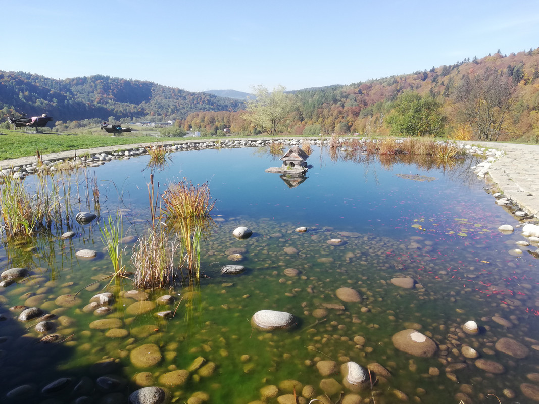 IMG 20221008 110303 — Postimages