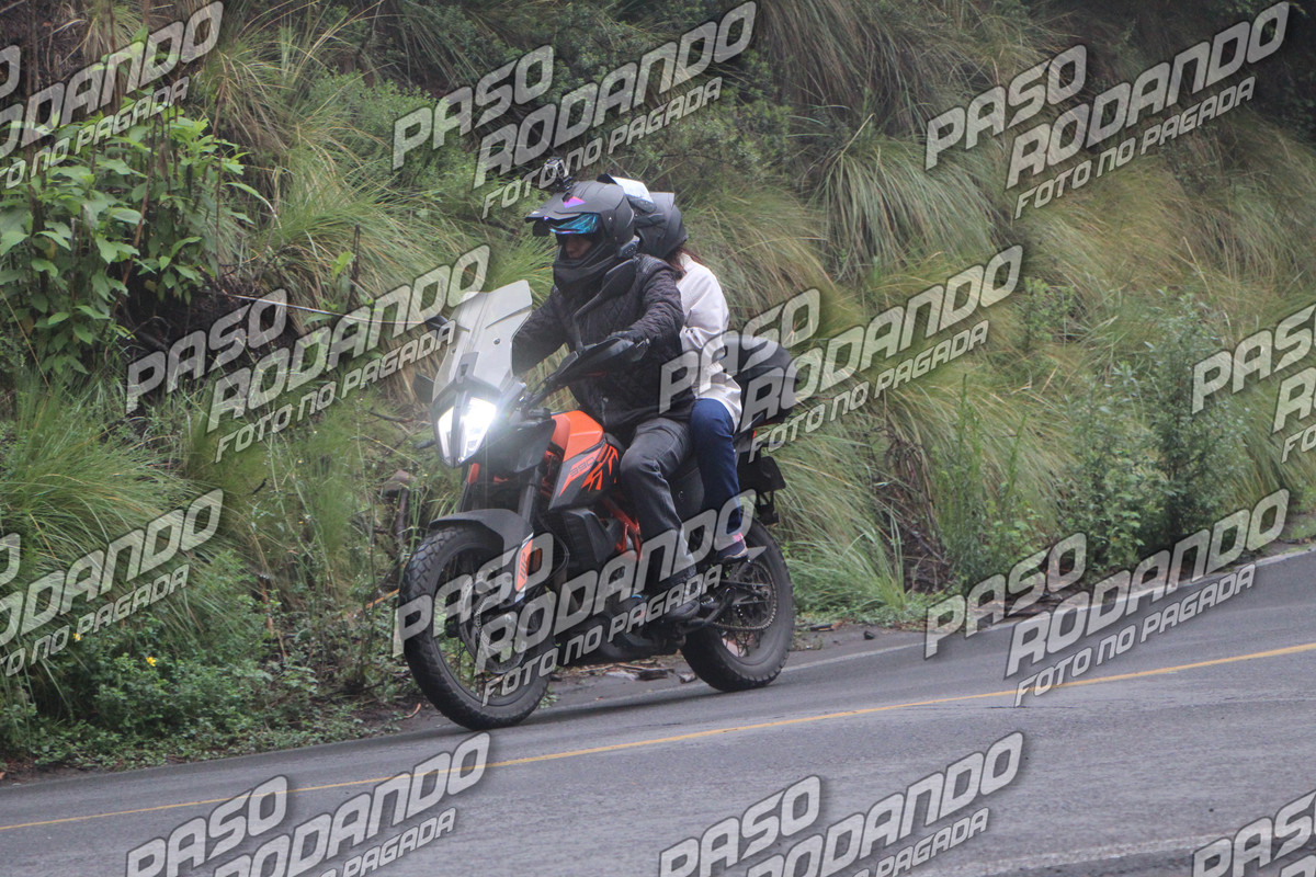 IMG 0490 wm 496418 5999999996 watermarked — Postimages