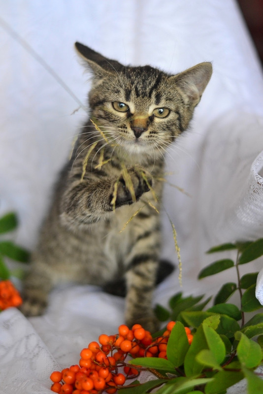 DSC 0776 — Postimages