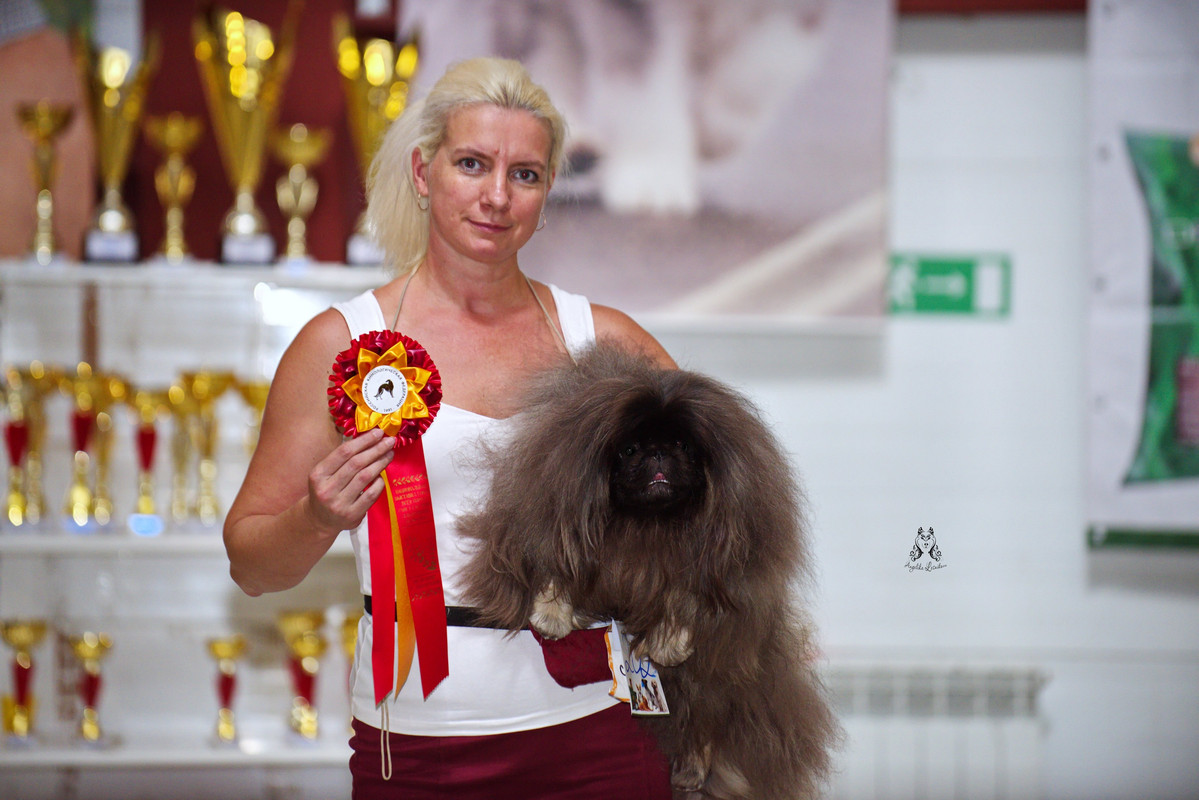 DSC 1888 — Postimages