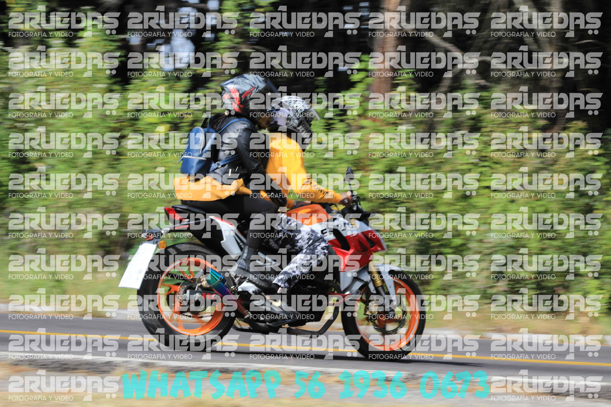 IMG 0237 — Postimages