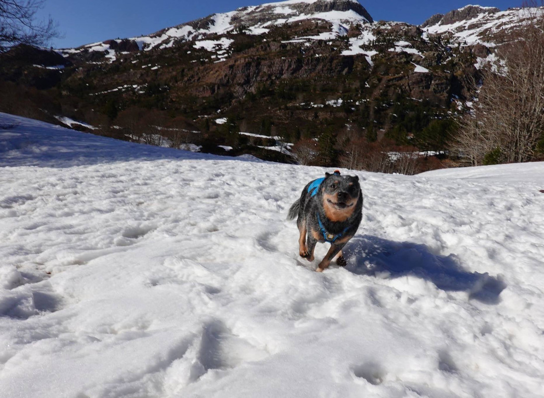 IMG 3482 — Postimages