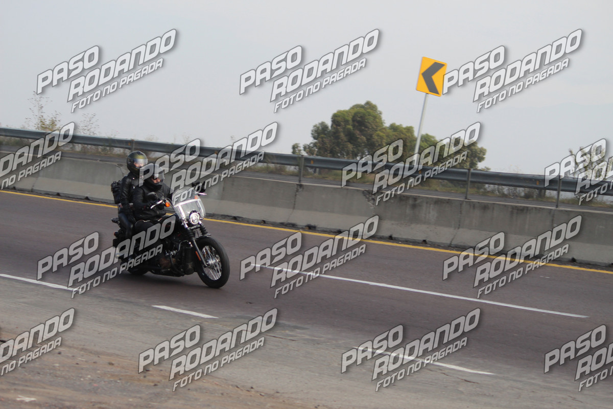 IMG 9064 wm 2302596 5 watermarked — Postimages