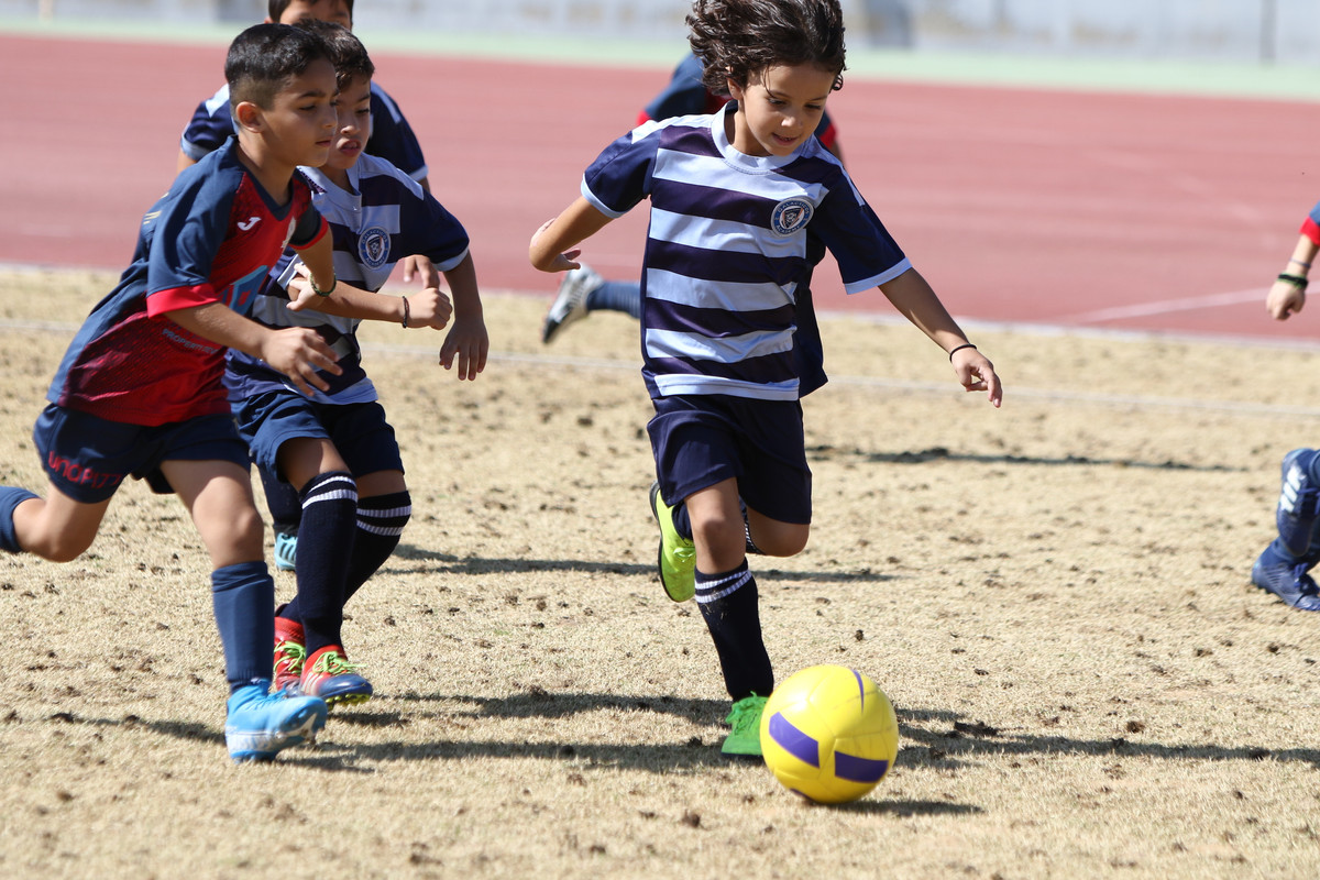 VIK 2018 — Postimages