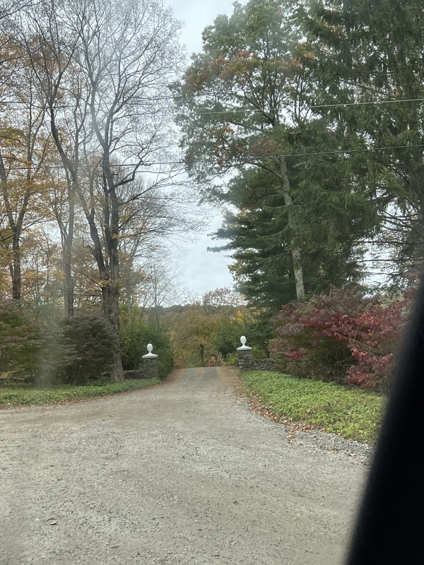 IMG 3696 — Postimages