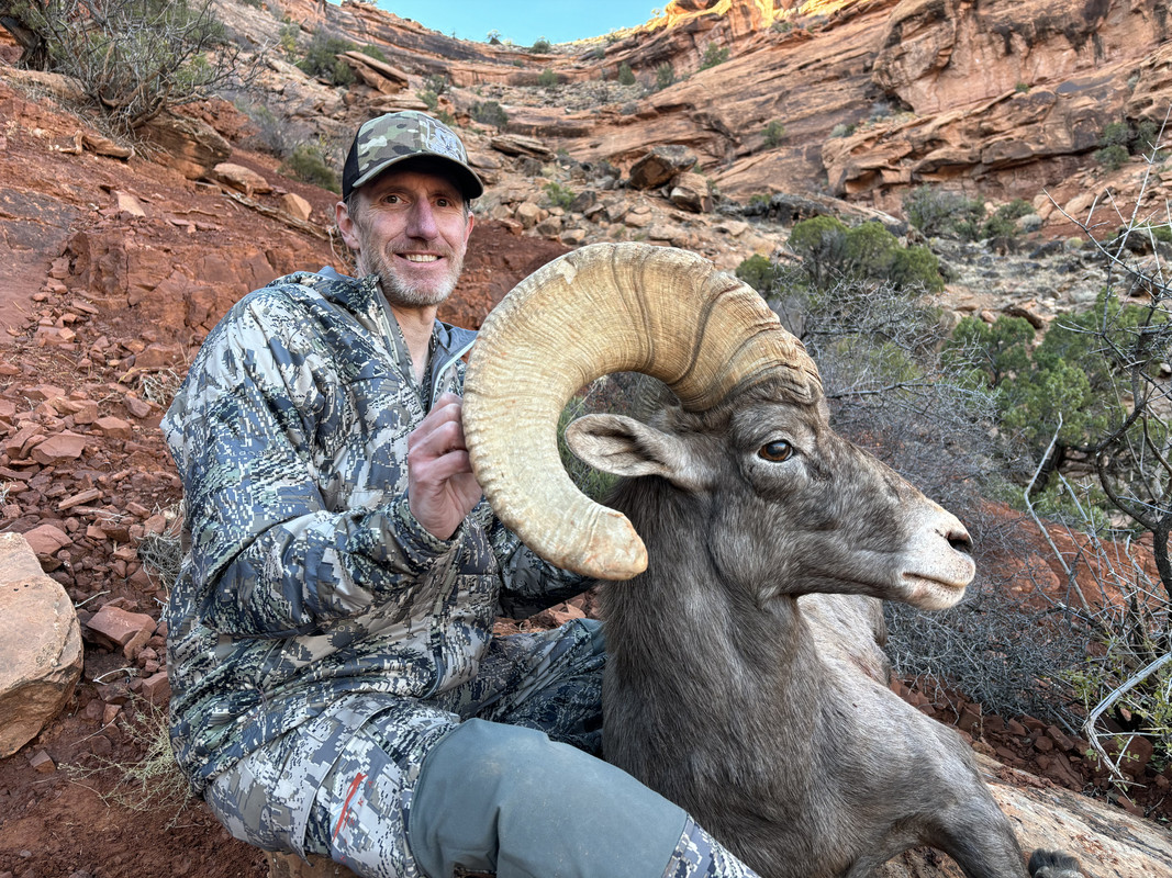 Successful Colorado Sheep Hunt | Long Range Hunting Forum – Expert Gear ...