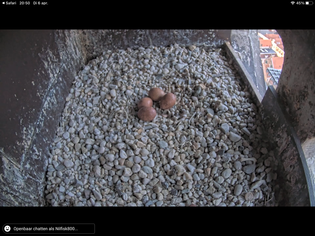 C13 E0 AE7 FA2 D 4 C09 A611 1 B296872 A967 — Postimages