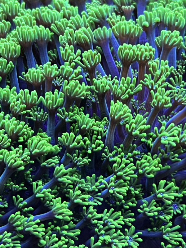 IMG 2954 — Postimages