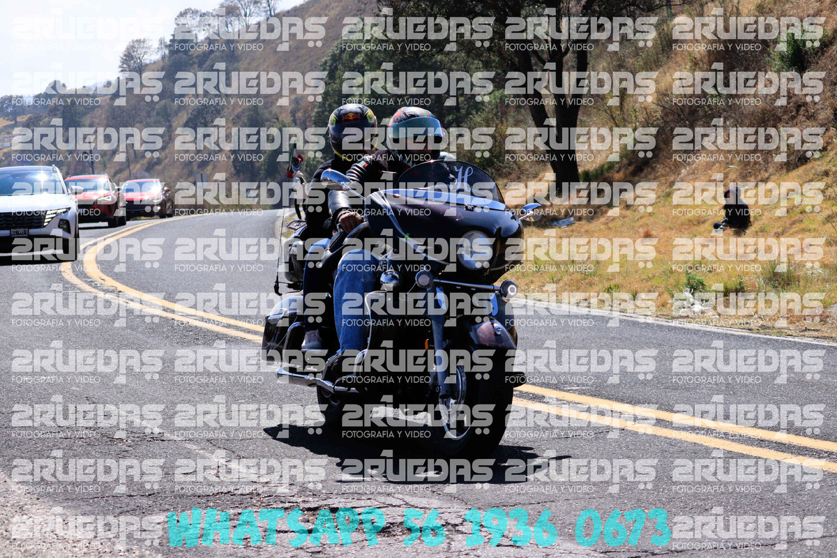 MG 1149 — Postimages