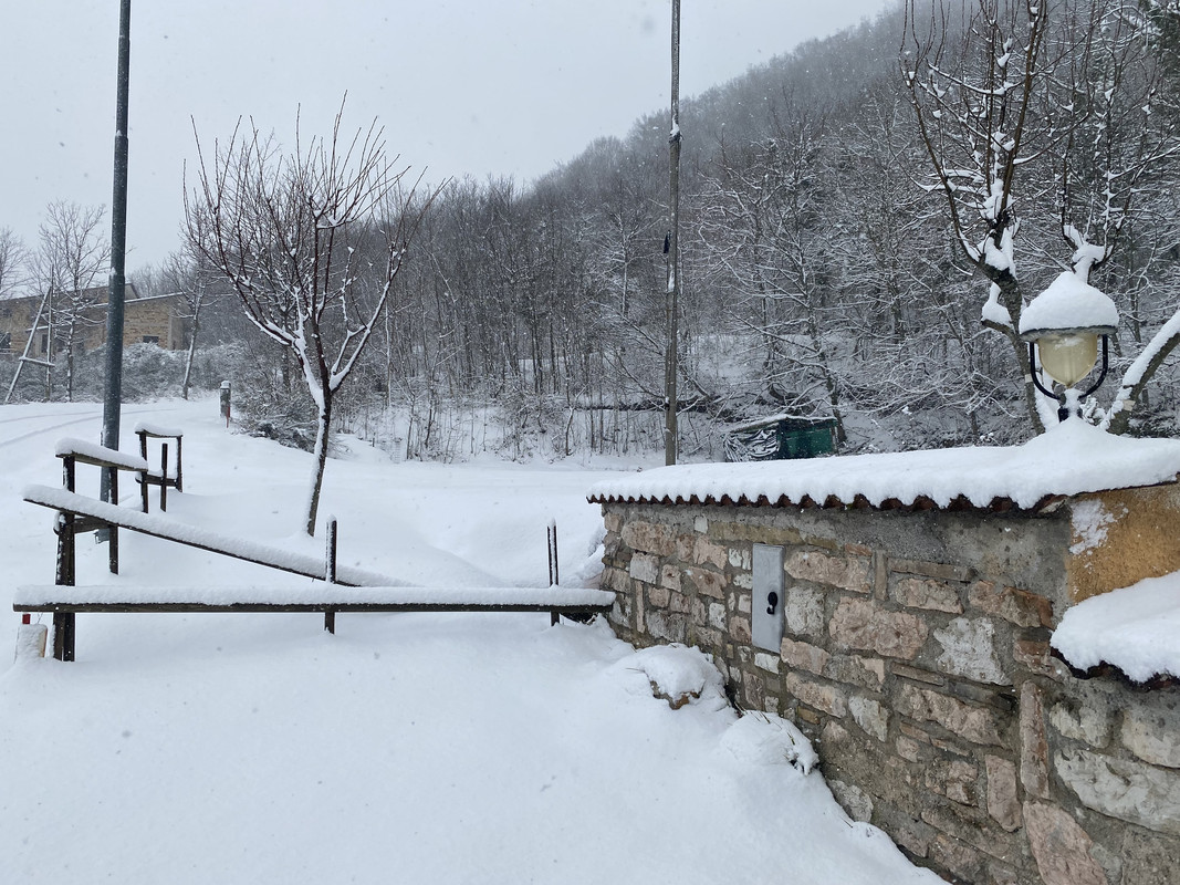 8 C6928 BF A791 4 A59 8002 22 B58979 A53 D — Postimages