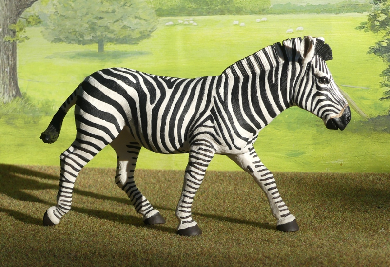 The giant Zebra