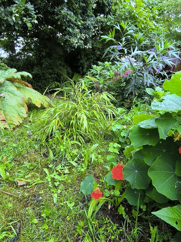 IMG 20240721 083120 — Postimages
