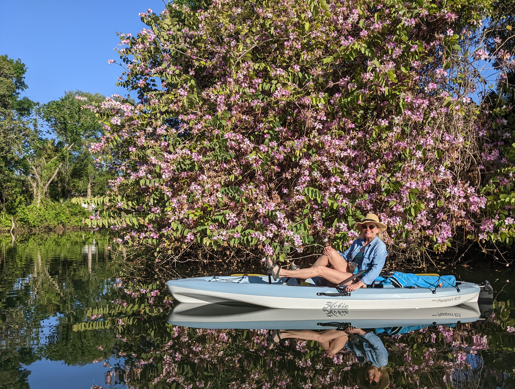 PXL 20220329 130727153 — Postimages