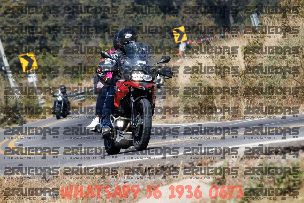 MG 8974 — Postimages